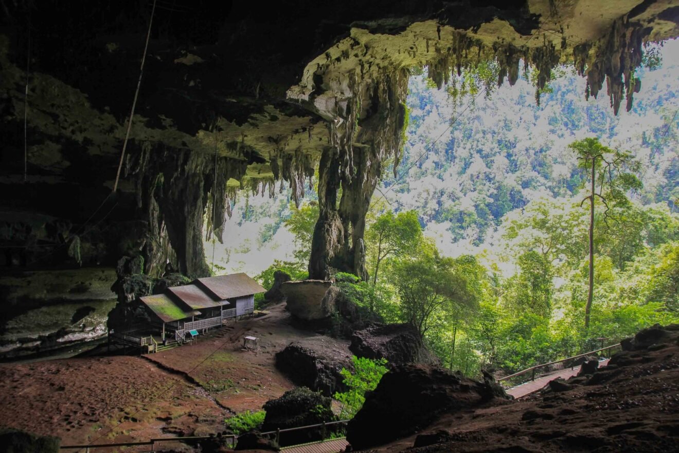 Niah National Park Guide 2026: Exploring Sarawak’s Ancient Caves ...